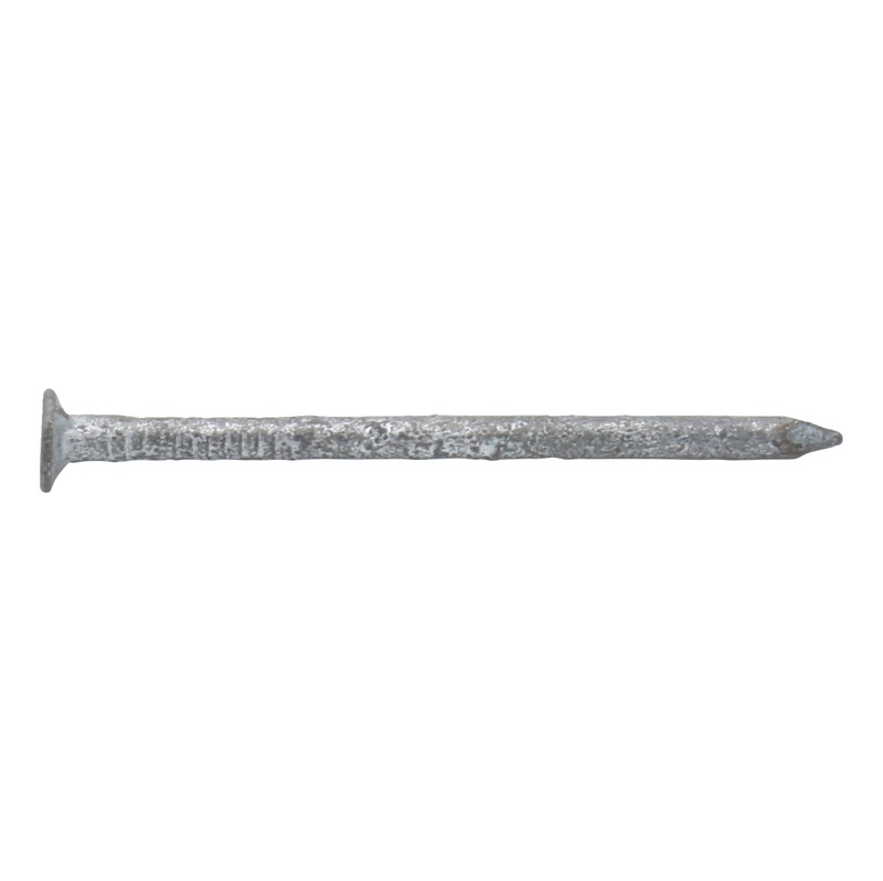 Buy Wire nail steel hot dip galv. flat hd smooth shank online