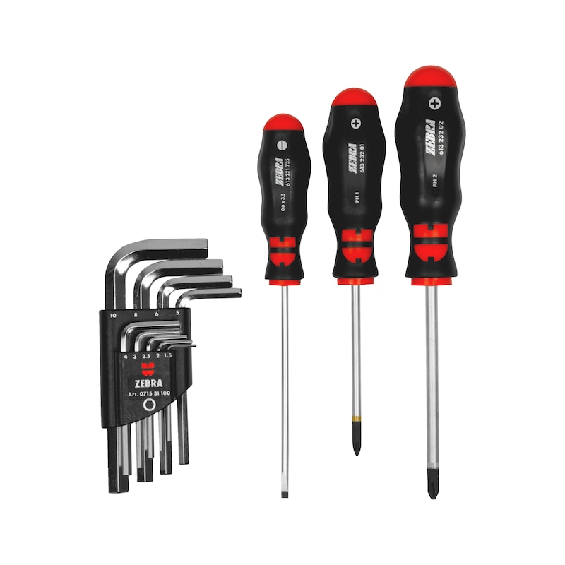 Buy Screwdriver and Allen key set 12 pcs online | WÜRTH