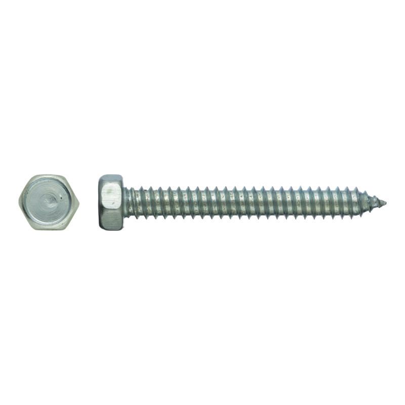 Buy Hexagon head tapping screw, DIN 7976, zinc plated, type C online ...