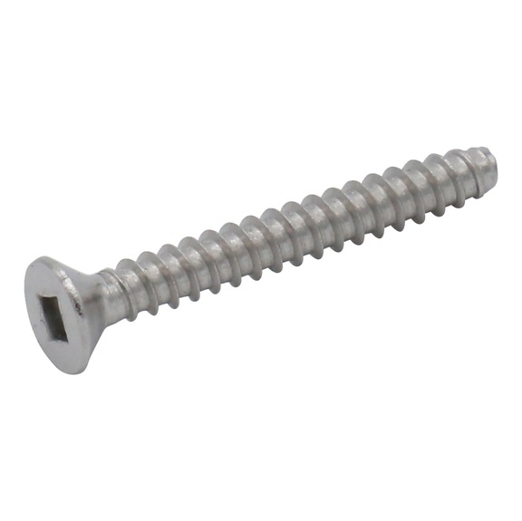 Buy DIN 7982 stainless steel A2 cs head square shape F online