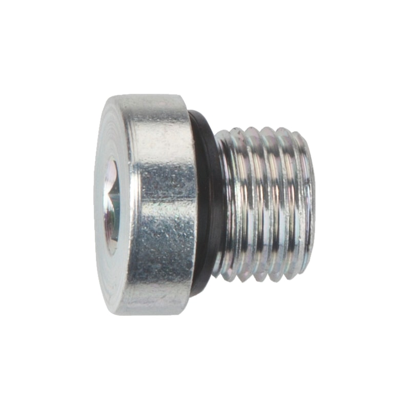 VSTI thread plug, WD seal, metric male from eShop