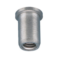 Rivetto filettato testa piana